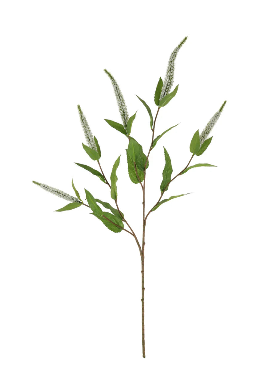 White Veronica Spray Stem – Josefina Online